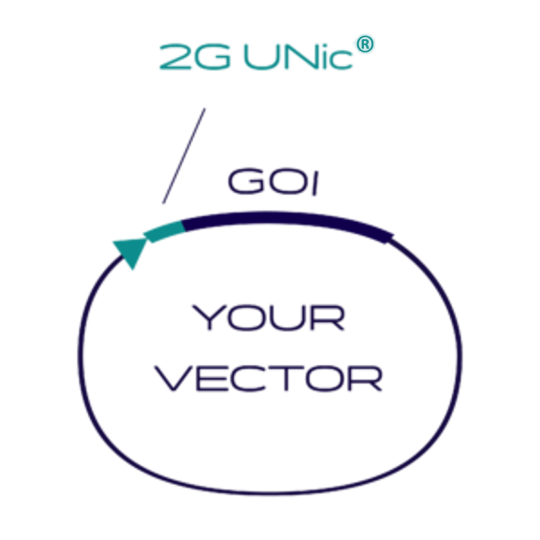 2G UNic Vector Technology - ProteoNic BioSciences